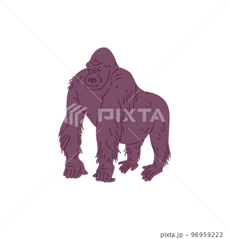Silverback Gorilla Vector